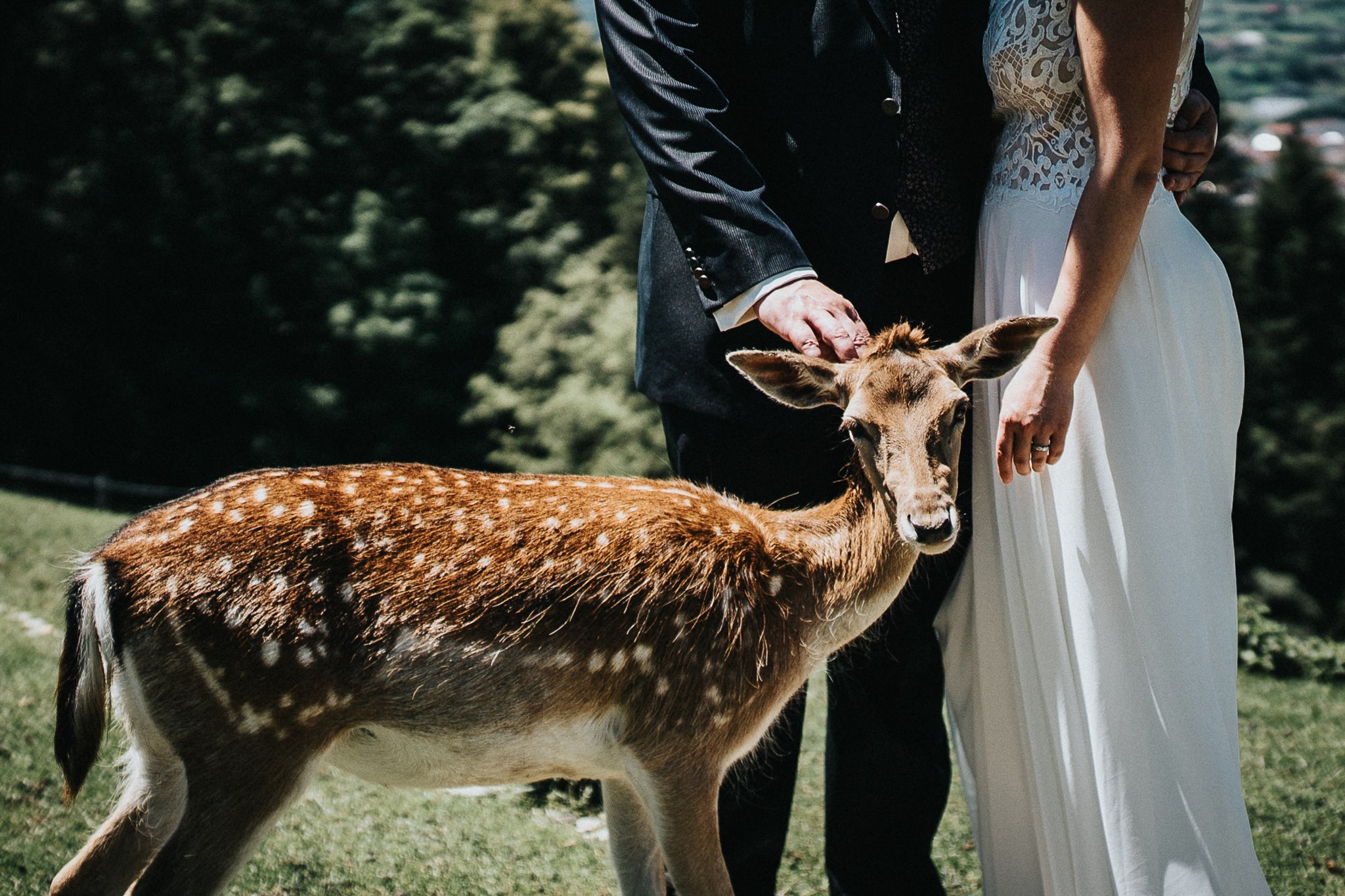 Alina liebt Stephan | FineArt Weddings